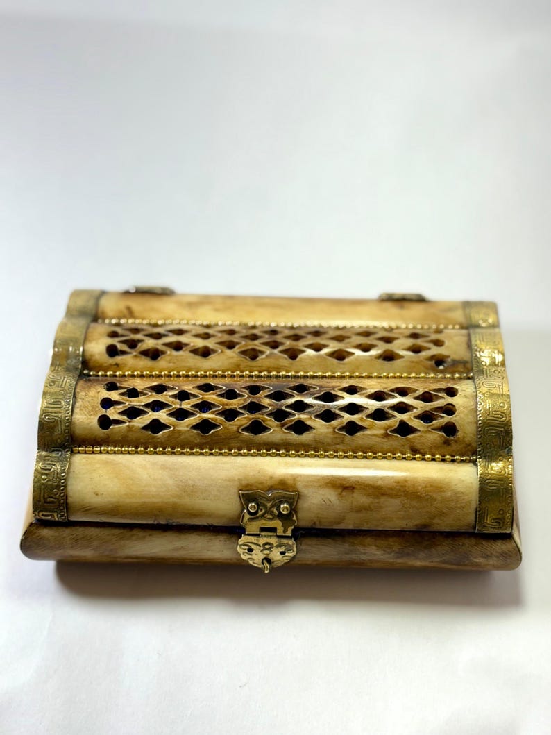 Vintage Hand-carved Bone Jewelry Box: Ornate Brass Accent Trinket ...