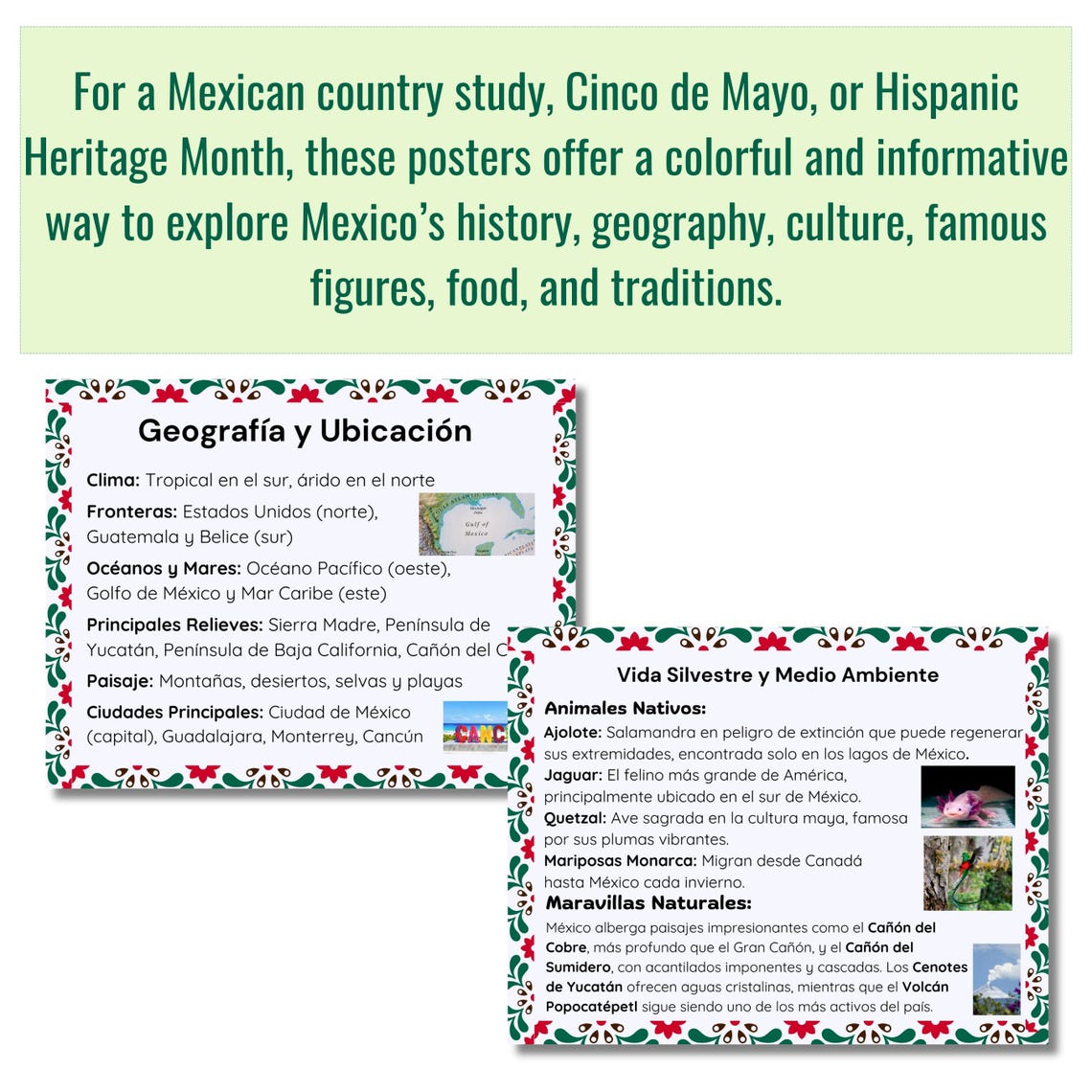 Mexico Country Study "in Spanish" Classroom Bulletin Board Cinco De ...