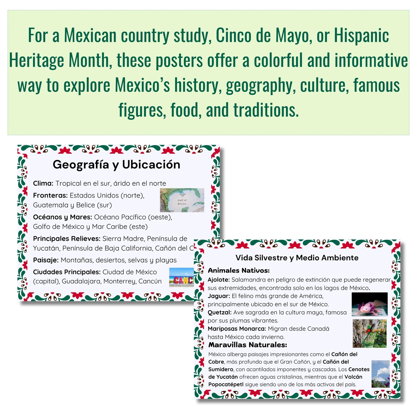 Mexico Country Study "in Spanish" Classroom Bulletin Board Cinco De ...