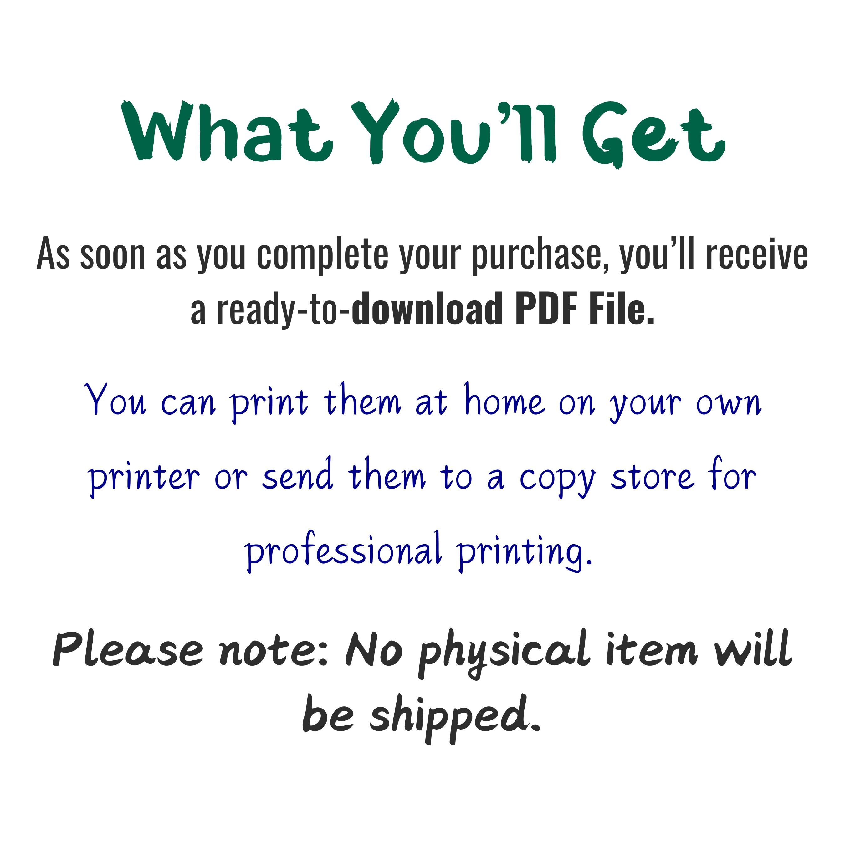 Mexico Country Study "in Spanish" Classroom Bulletin Board Cinco De ...