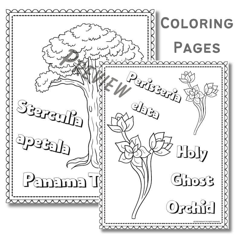 Panama Country Study Hispanic Heritage Month Activities Posters Panama ...