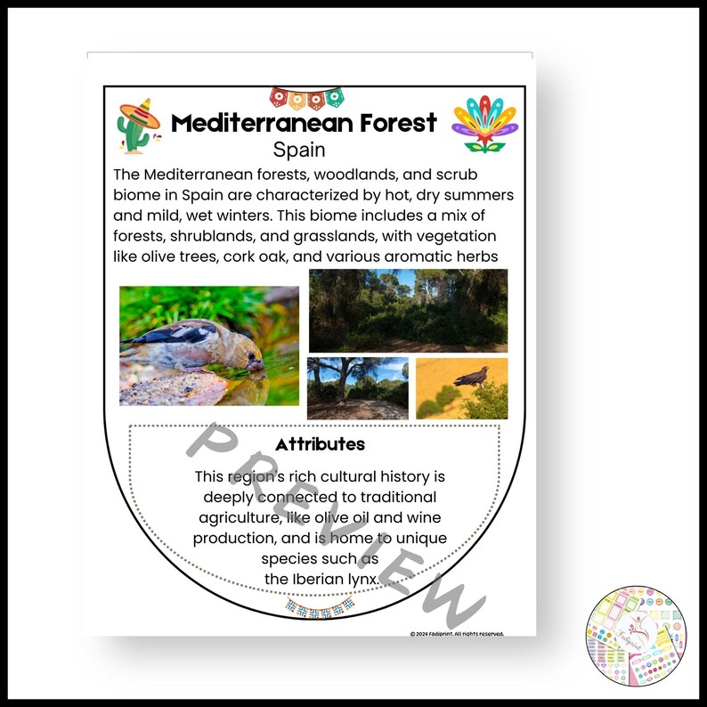 Biomes of South America Biomes of the World Spanish Speaking Countries ...