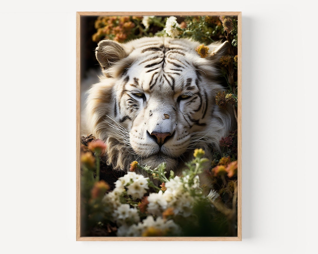 Baby Tiger Print, Safari Animal Prints, PRINTABLE Nursery Art, Safari ...