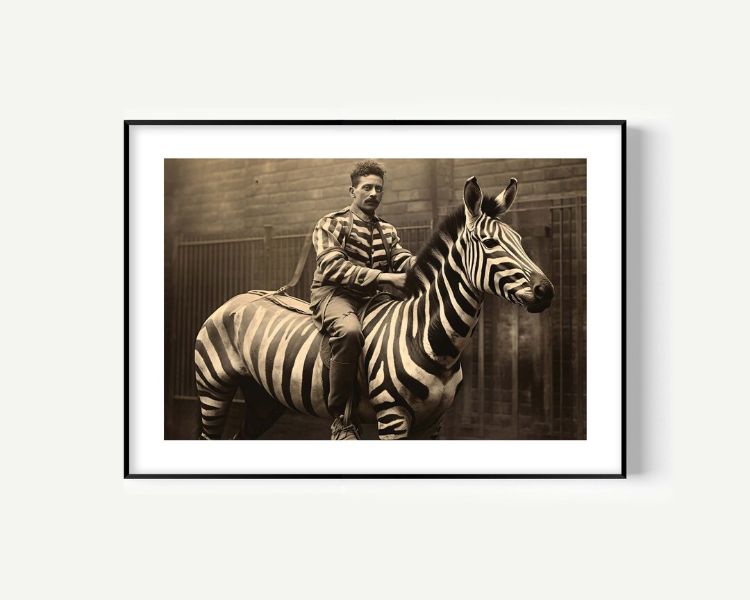 Zebra Prison Break Print, Funny Animal Black and White Wall Art ...