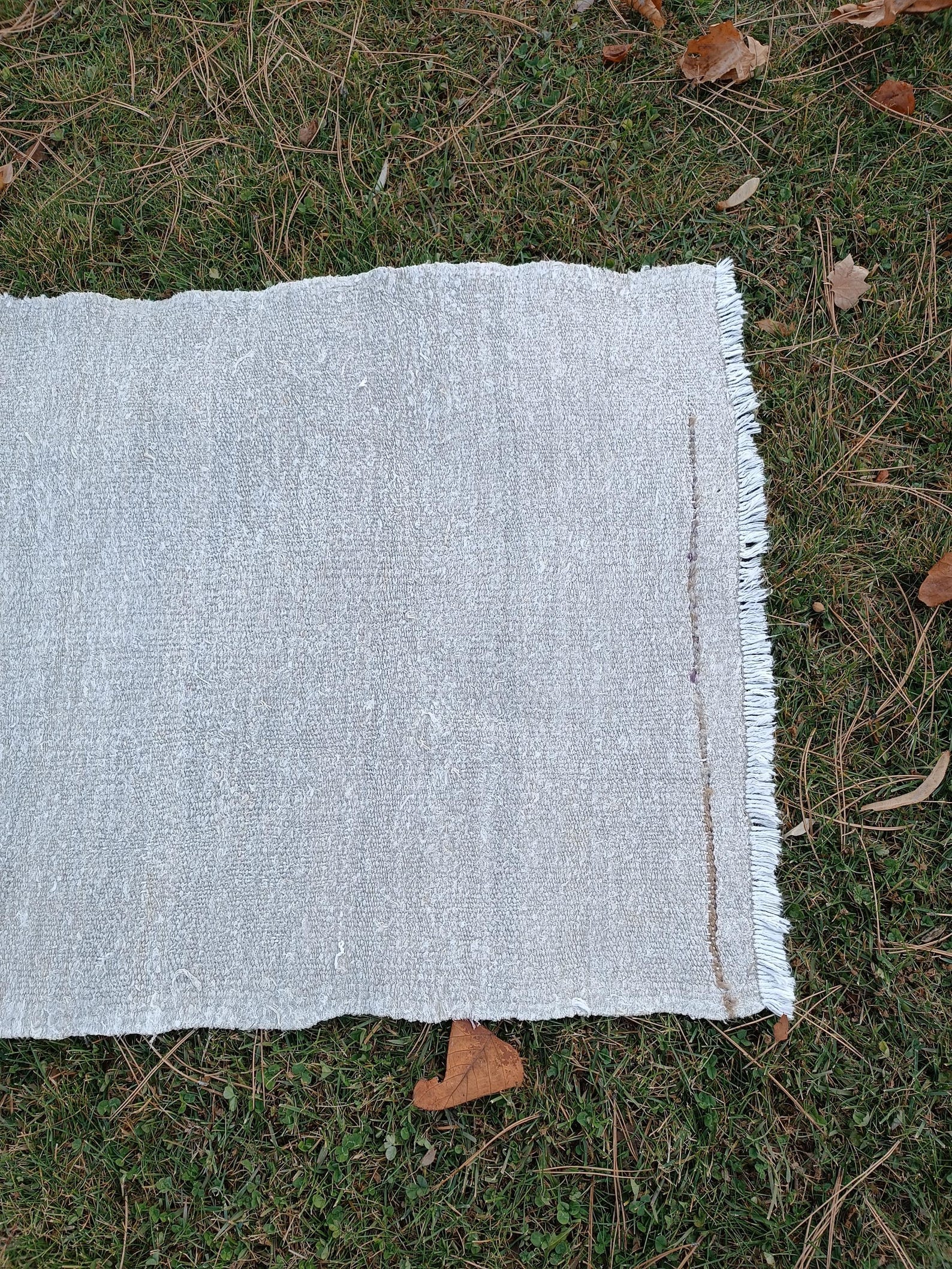 2x4 Hemp Rug, Hemp Rug Small, Flatweaving Turkish Kilim, Naturel ...