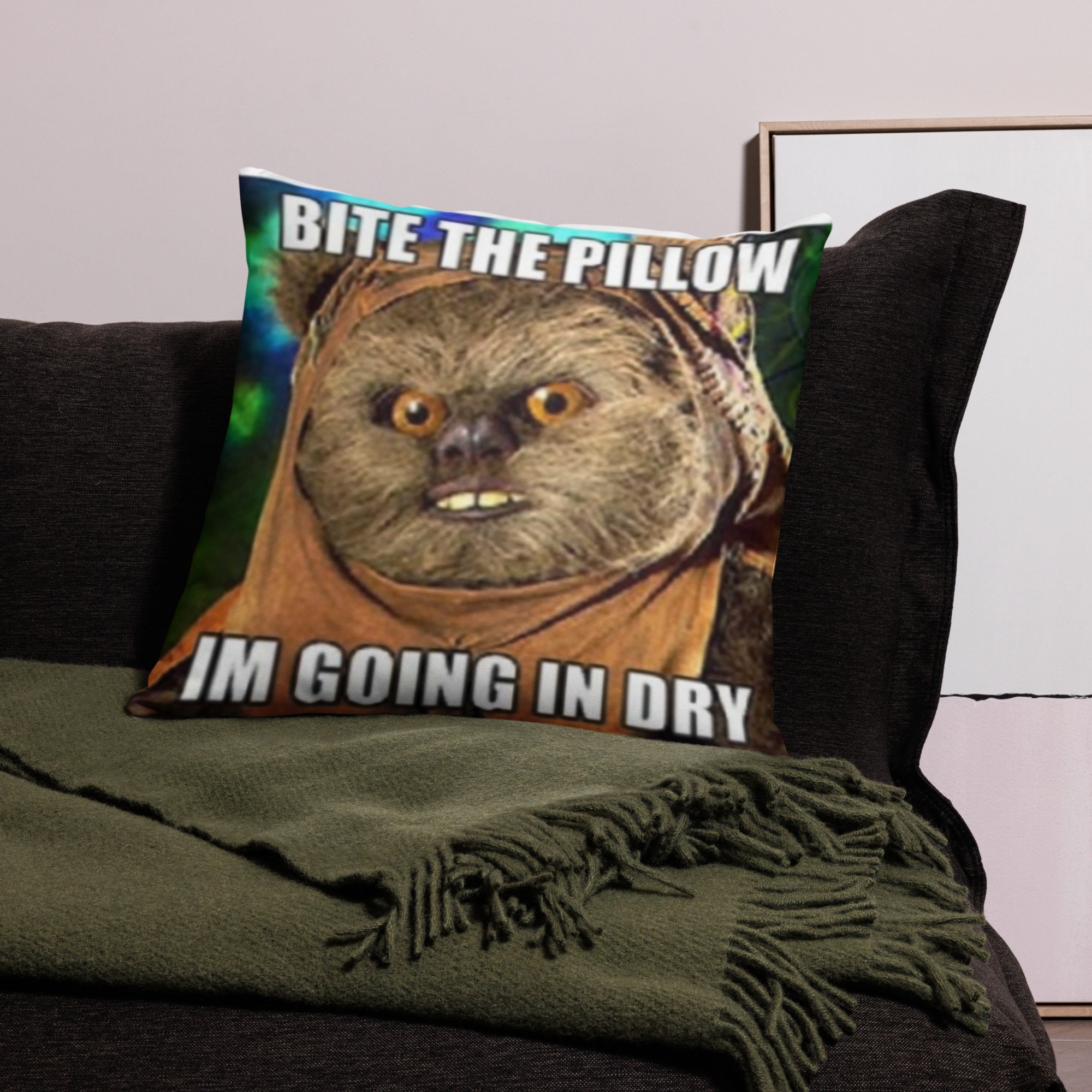 Bite The Pillow Im Going In Dry