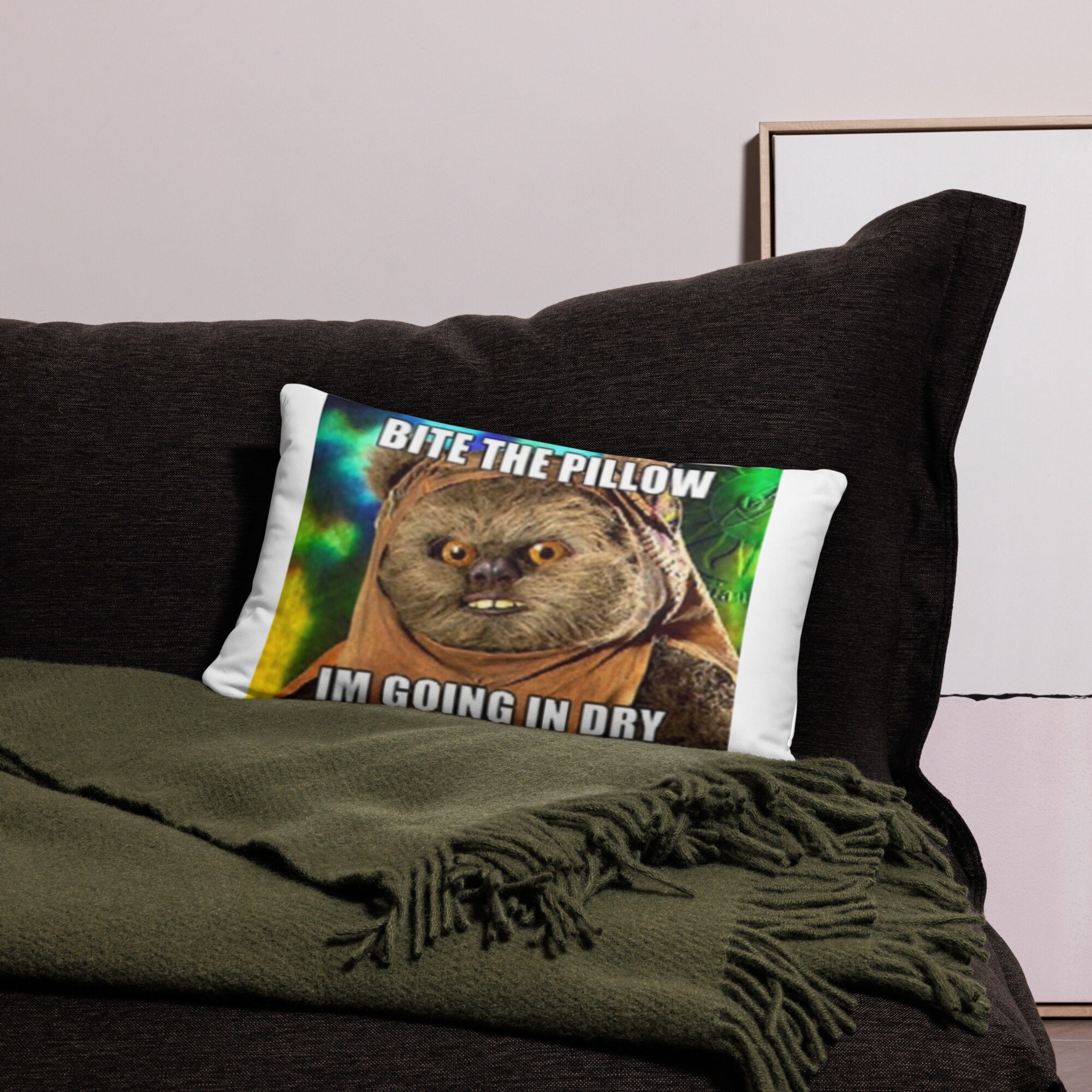 Bite The Pillow Im Going In Dry