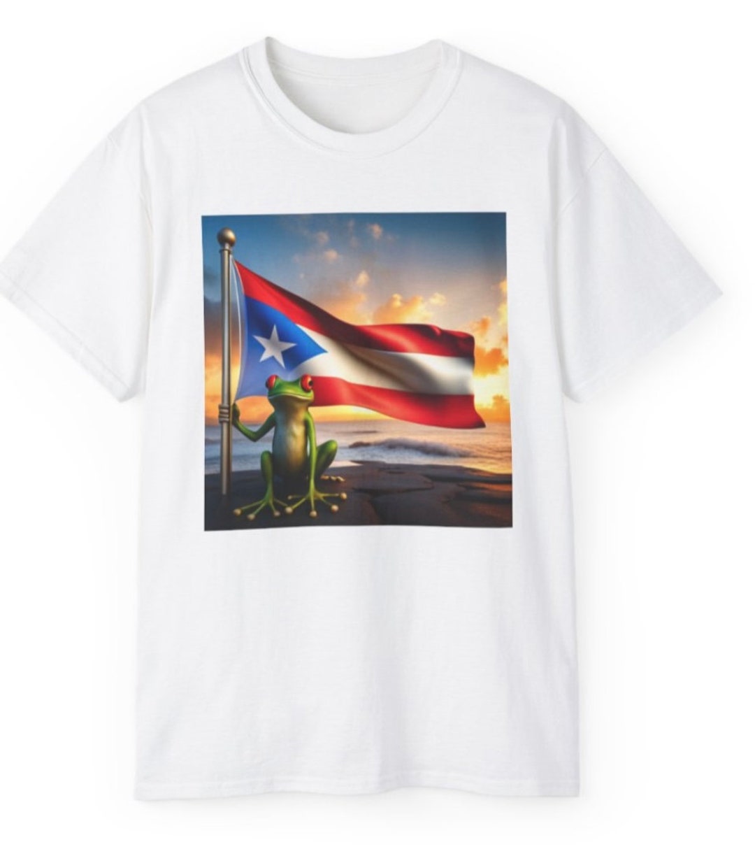 Coqui With Flag - Etsy