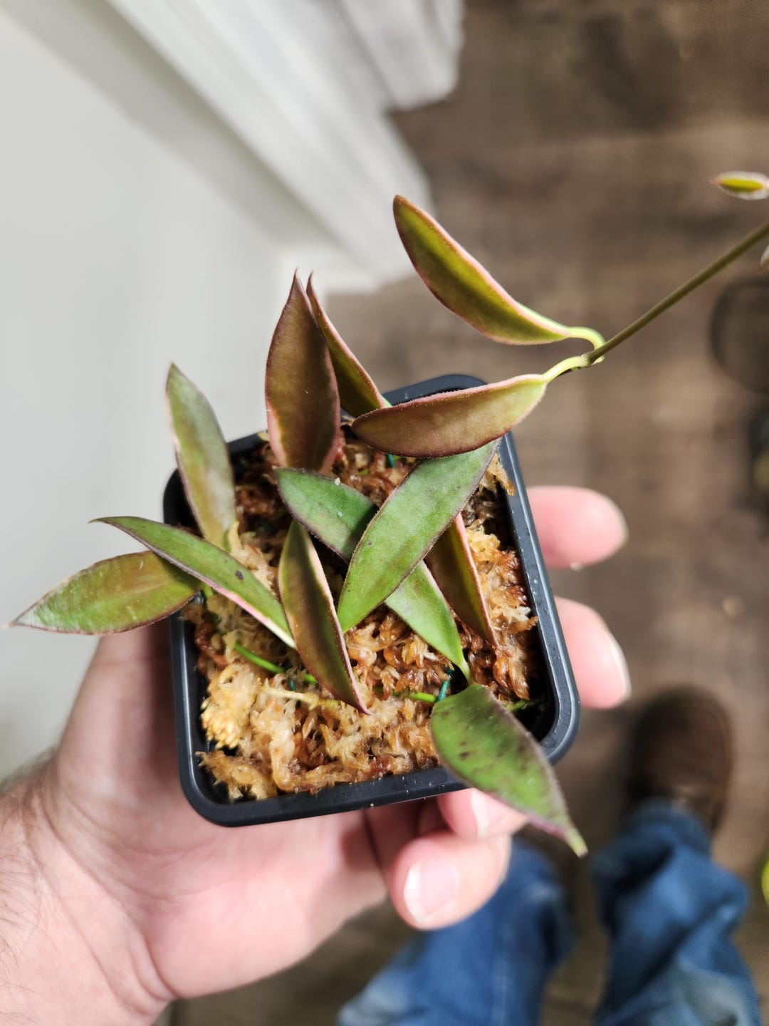 This item is unavailable - Etsy