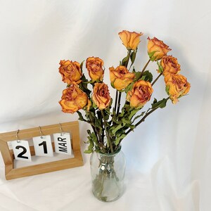 7 Kinds of Dried Rose Bundles, Natural Roses, Dried Roses, Home ...