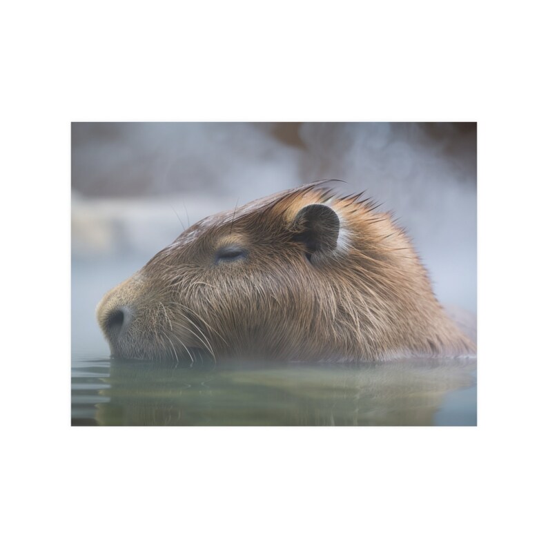 Capybara in an Onsen Satin Poster, House Warming Gift. - Etsy