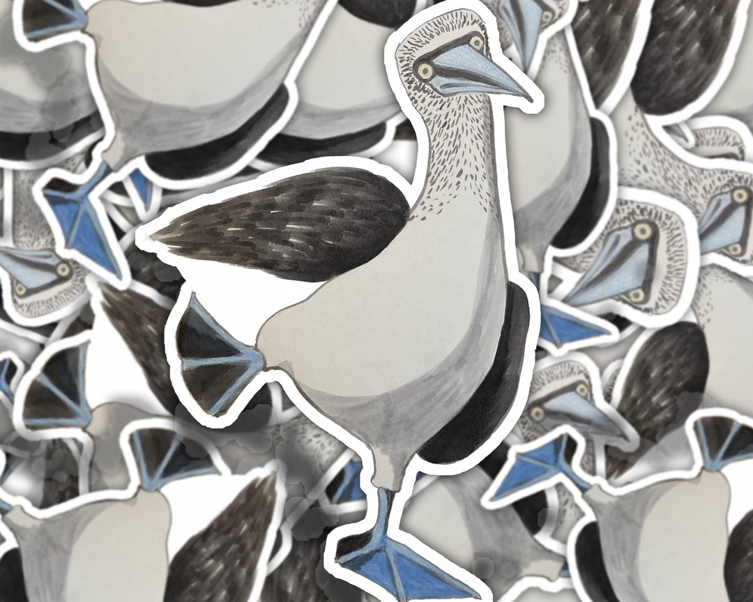Dancing Blue Footed Booby Matte Vinyl Sticker - Etsy