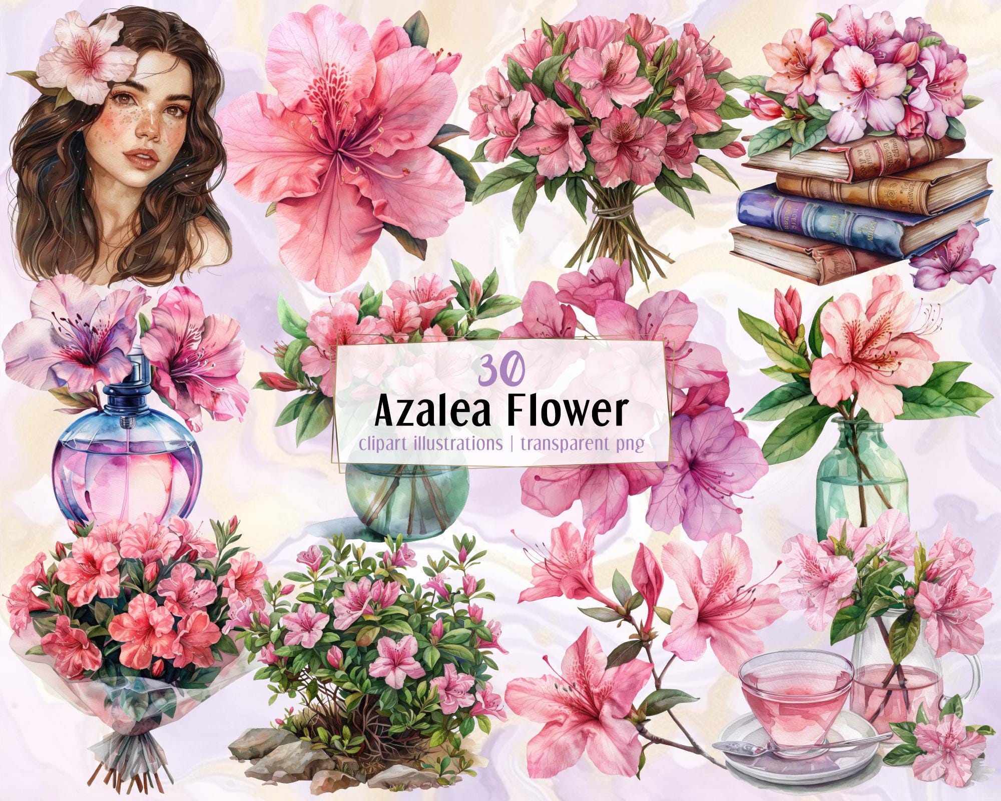 Azalea Flower Illustrations. Pink Flowering Shrub, Floral Decorations ...