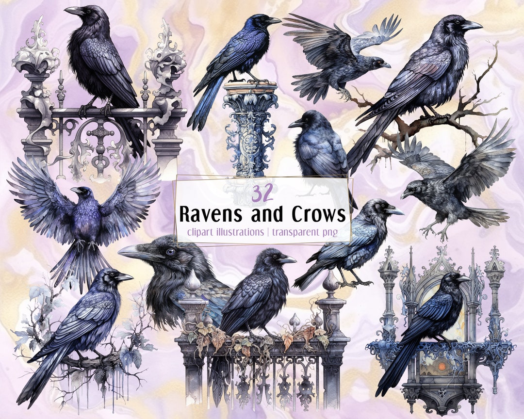 Gorgeous Watercolor Raven and Crow Bird Illustrations. Black Flying ...