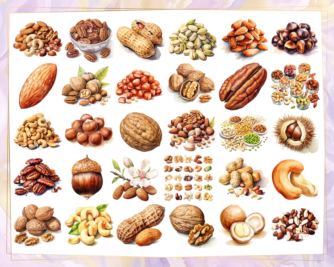 Nuts Illustrations. Various Edible Nuts, Healthy Snack, Piles of Nuts ...