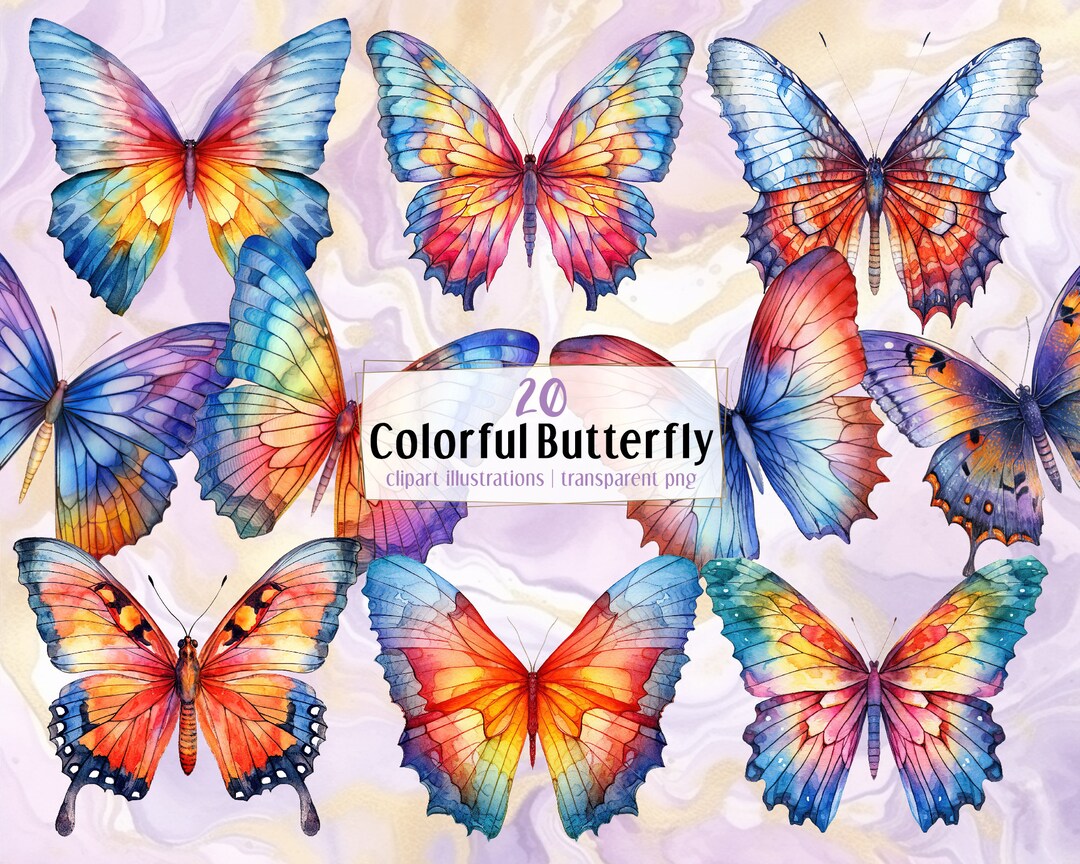 Colorful Butterfly, Watercolor Style Illustrations. Multi Colored, Fun ...