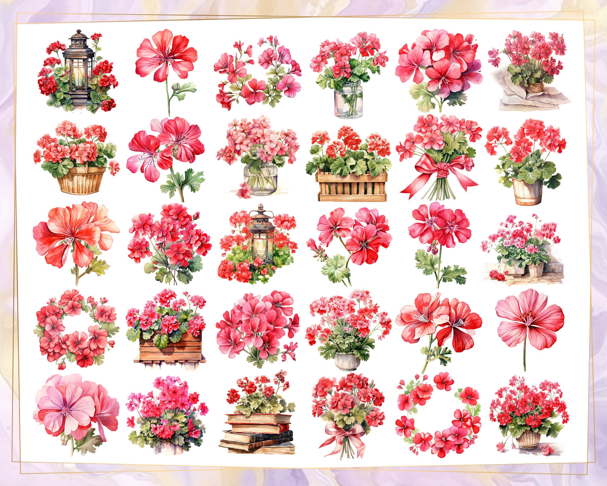 Red Geranium Flowers, Watercolor Style Illustrations. Floral Decoration ...