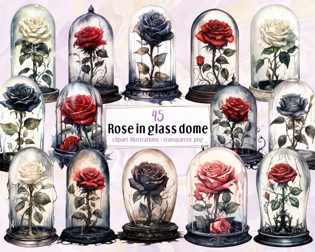 Enchanted Rose in Glass Dome Watercolor Style Illustrations. Beautiful ...