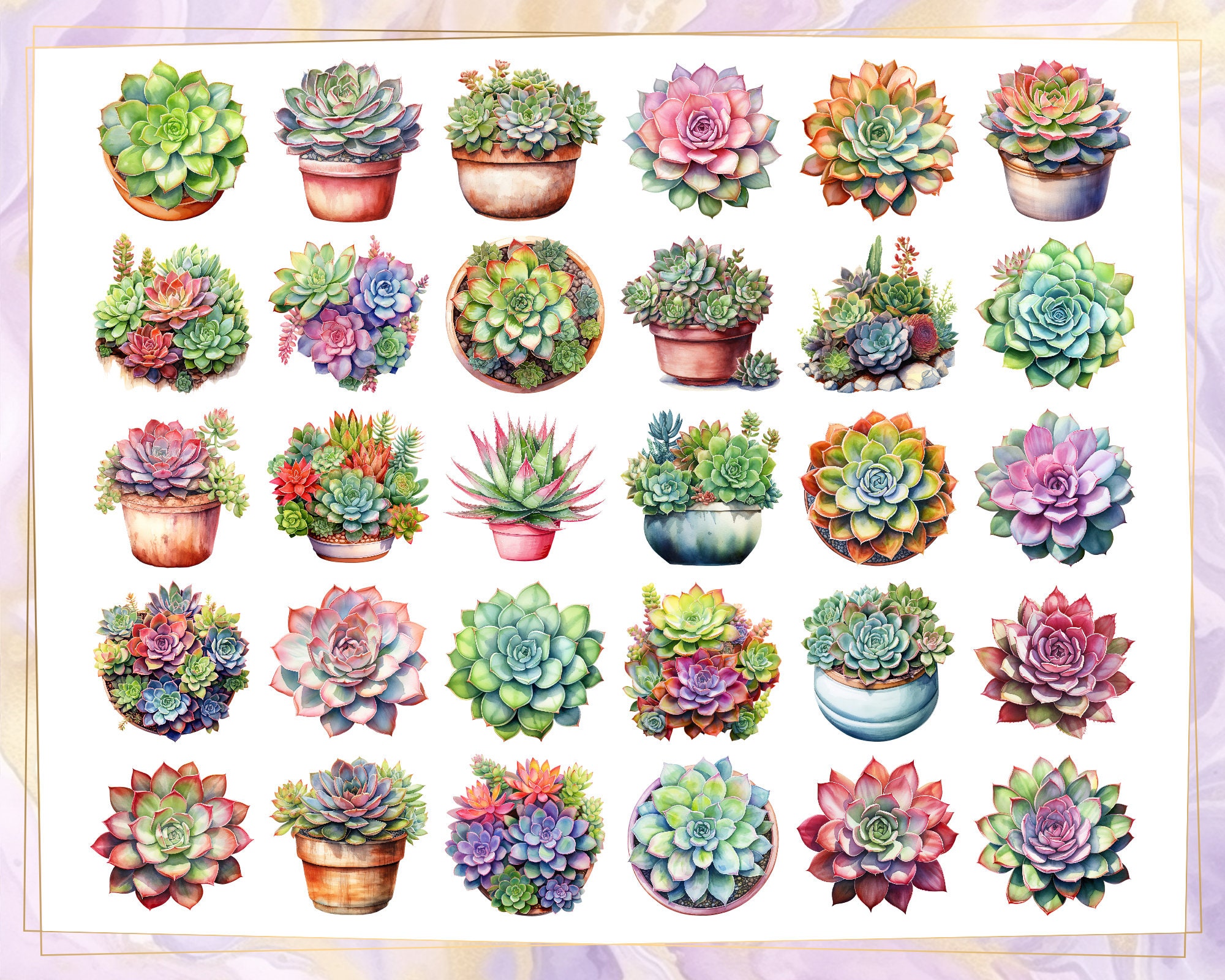 Succulents Illustrations. Beautiful Colorful Succulent Plants in Pot ...