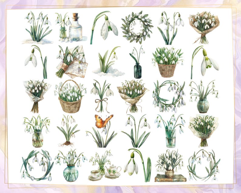 Snowdrop Flower Illustrations. Galanthus Plant, White Bell-shaped ...