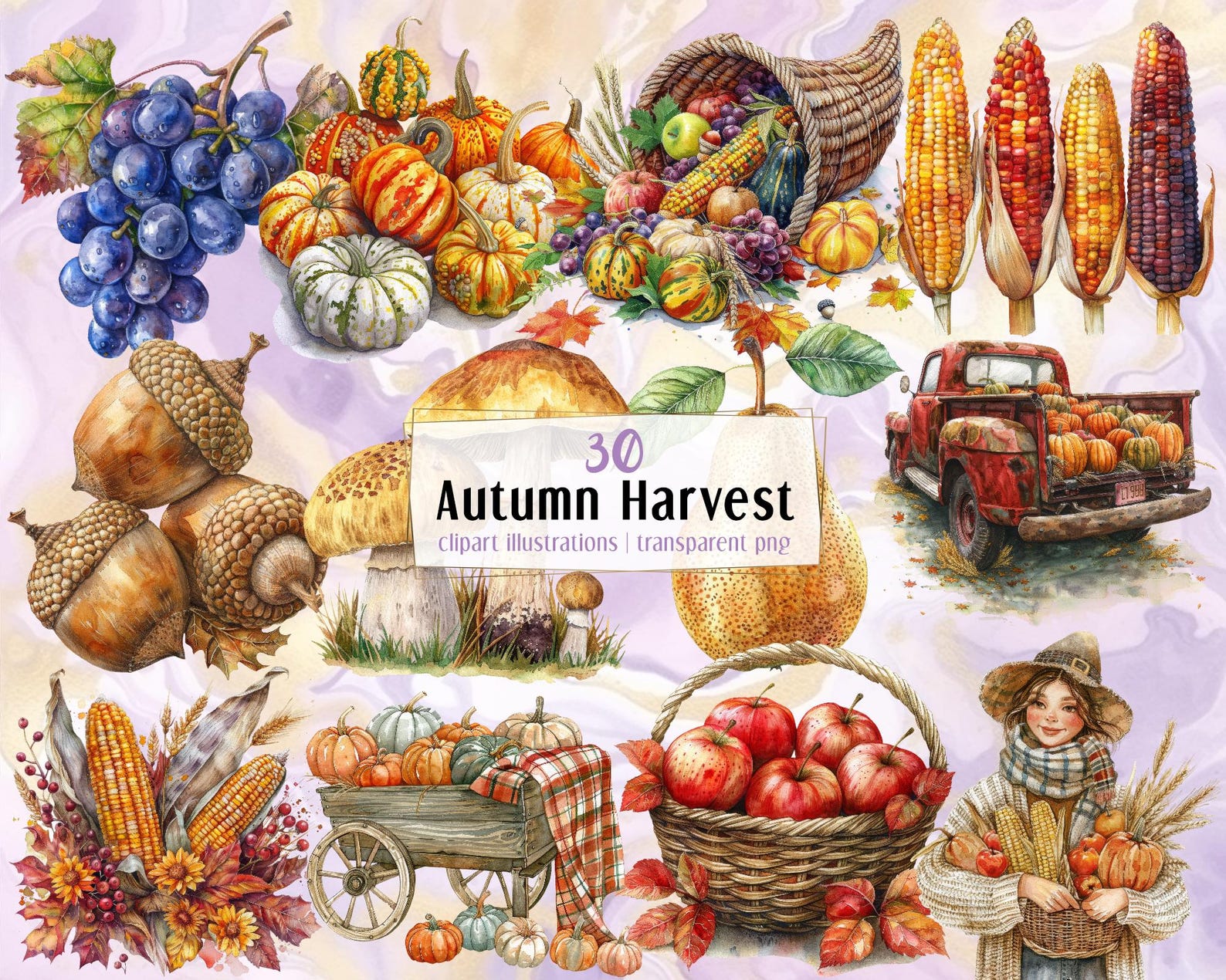 Autumn Harvest Illustrations. Fall Season Farmer Crops, Thanksgiving ...
