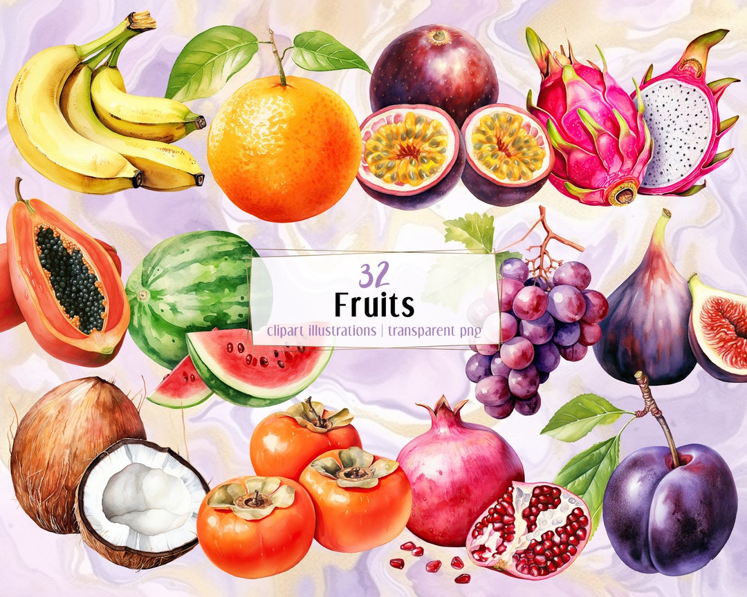 Fruits Illustrations. Summer Tropical and Common Fruit, Healthy ...