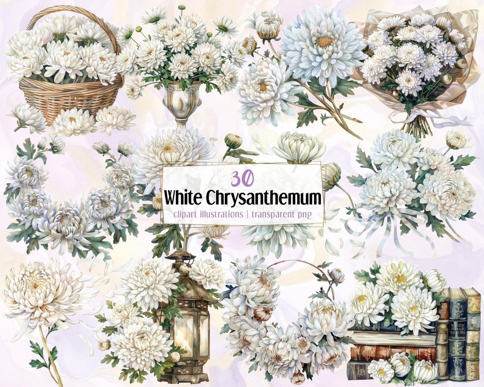 White Chrysanthemum Flower Illustrations. Floral Wreath, Irregular ...