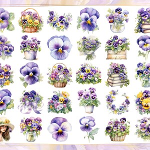 Pansy Flower Watercolor Style Illustrations. Viola, Violet, Purple and ...
