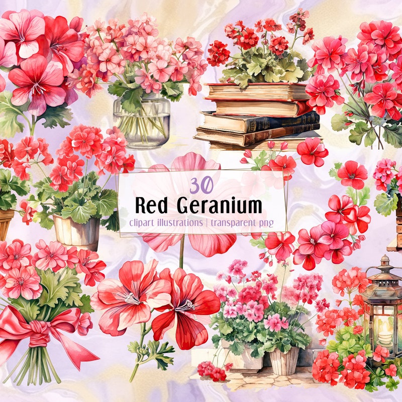 Geraniums - Etsy