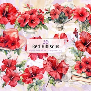 Red Hibiscus Flowers, Watercolor Style Illustrations. Floral Decoration ...