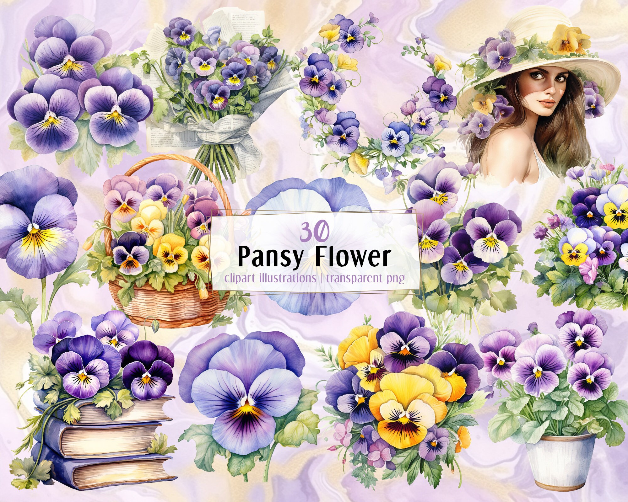 Pansy Flower Watercolor Style Illustrations. Viola, Violet, Purple and ...