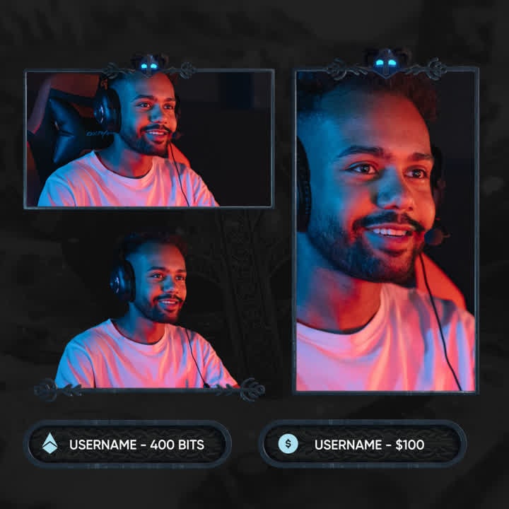 Ragnar Animated Stream/twitch Overlays Pack | Viking/norse Streamer ...