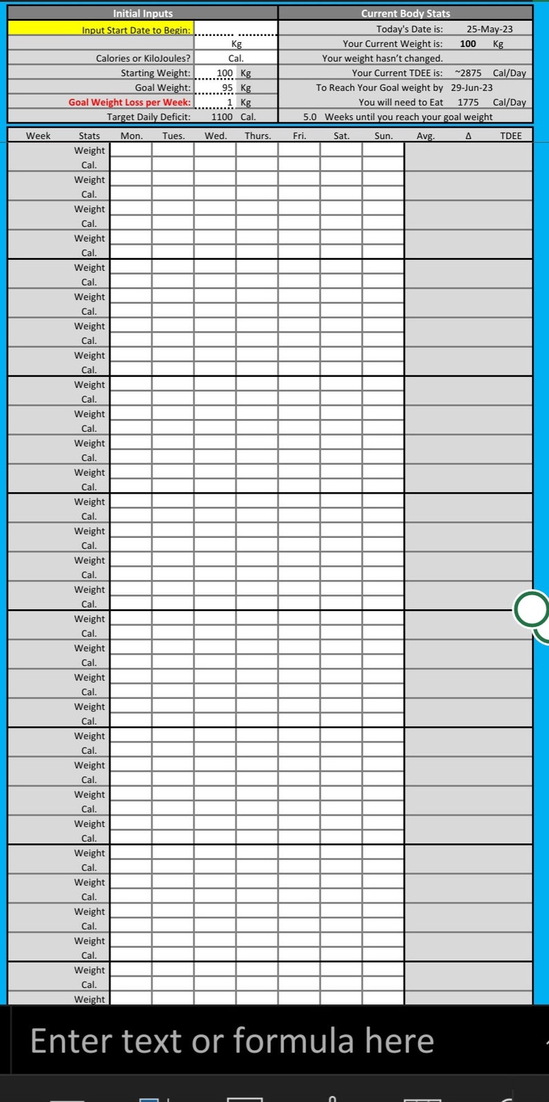 Excel Weight Loss Tracker With Calorie Intake Guide - Etsy