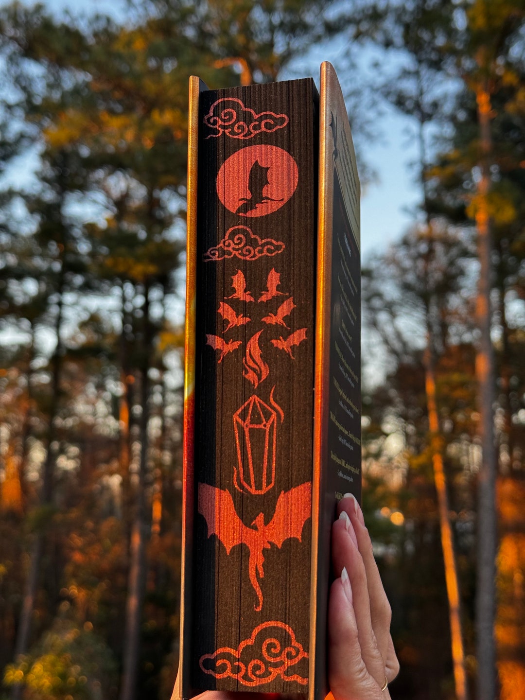 Iron Flame First Edition Book Painted and Sprayed Edges, Custom Design ...