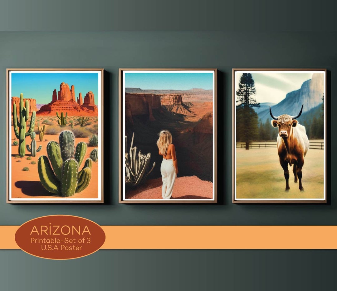 Arizona Poster Set of 3 | National Park, U.S.A Poster, Desert Printable ...