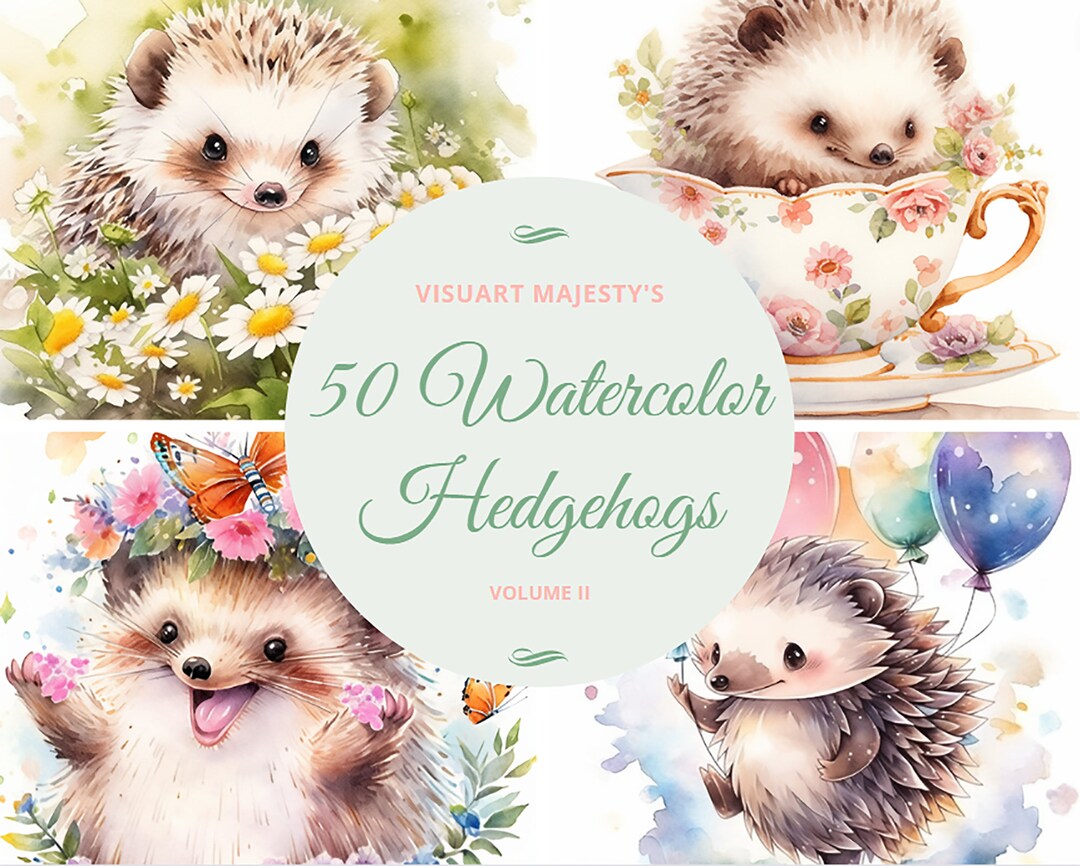Hedgehog Png, Watercolor Clipart, Baby Shower Decor, Clip Art Bundle ...