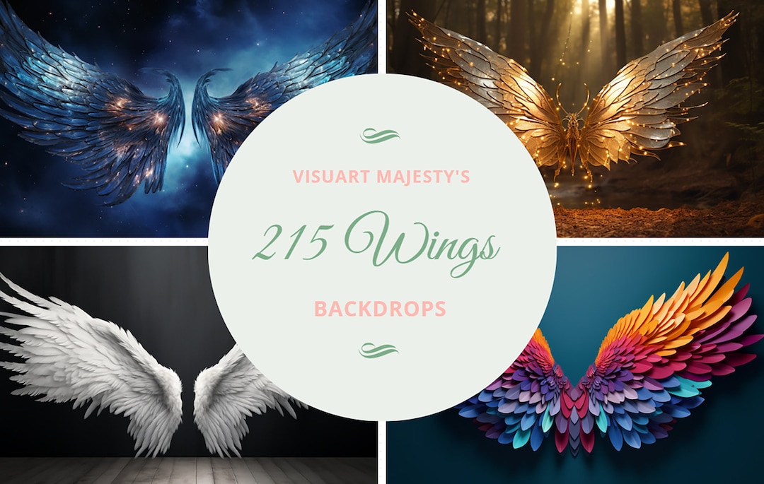 215 Wings Digital Backdrops Digital Backgrounds Backdrop - Etsy
