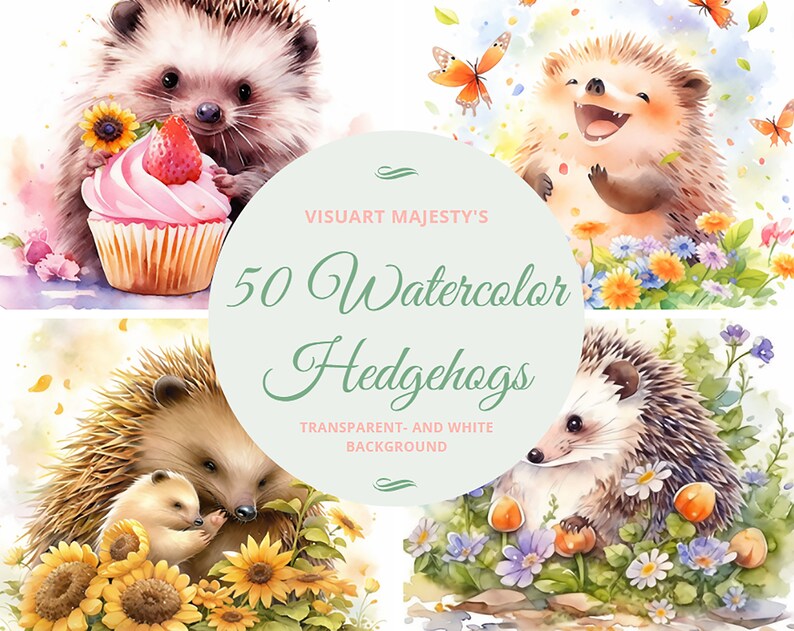 Hedgehog Png, Watercolor Clipart, Baby Shower Decor, Clip Art Bundle ...