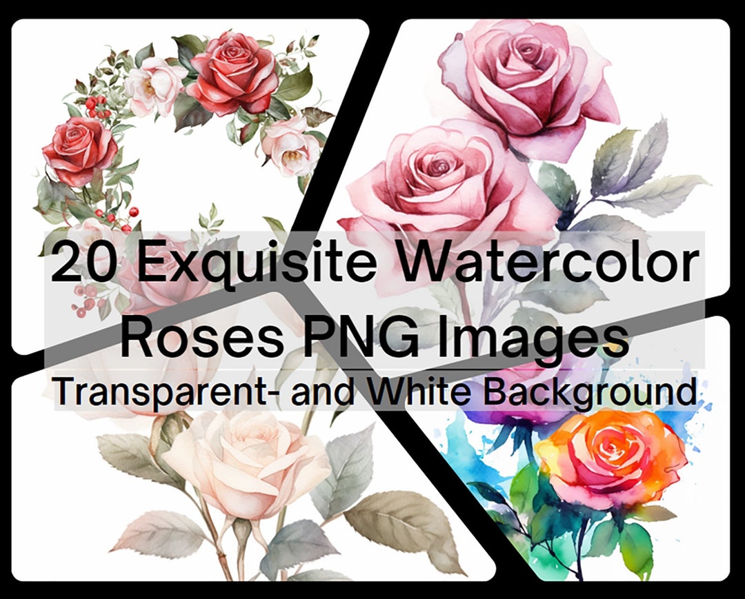 Watercolor Roses 20 High-quality Images in PNG Format - Etsy