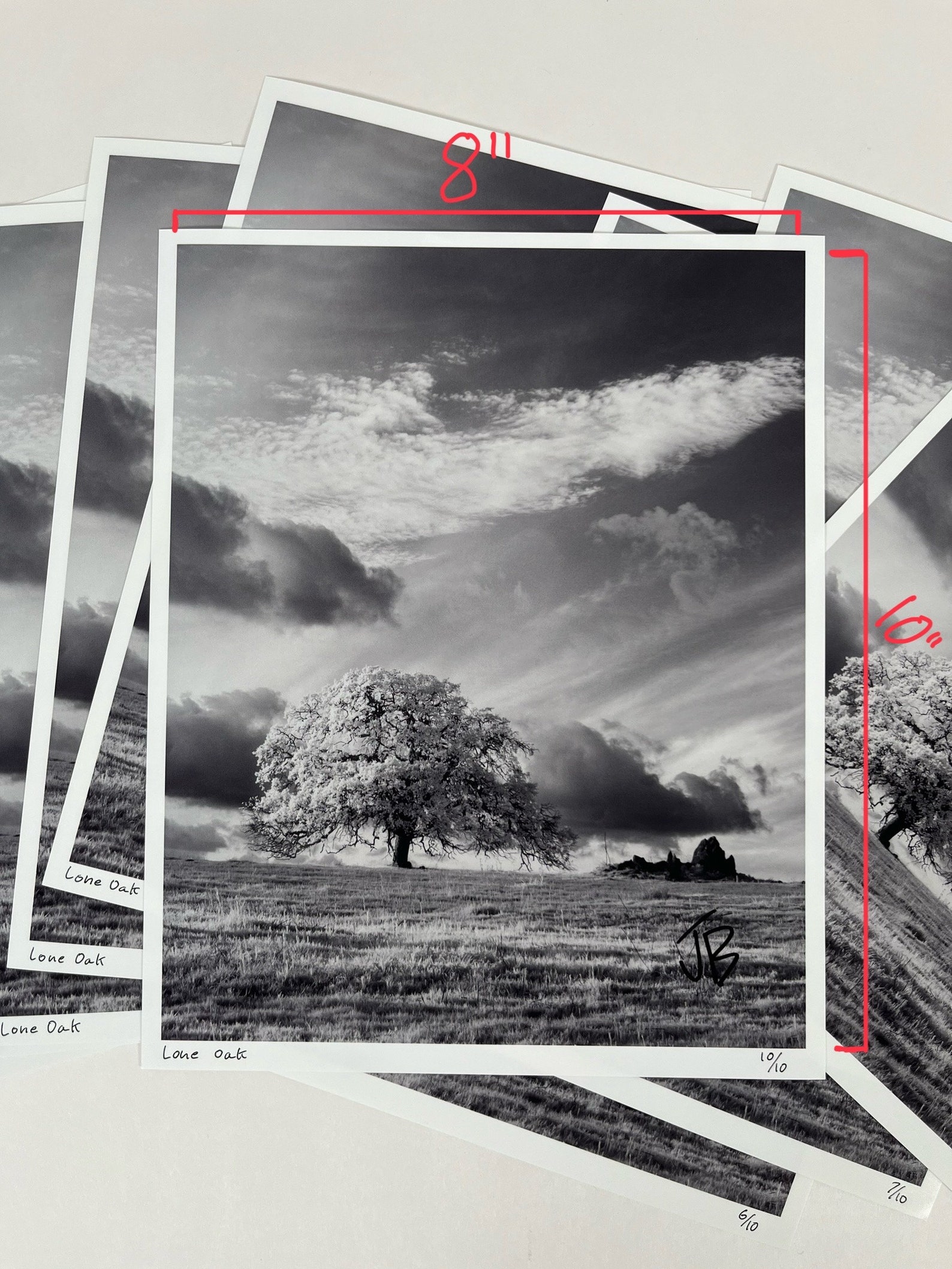 Lone Oak 8x10 Nature Landscape Photo Print - Etsy