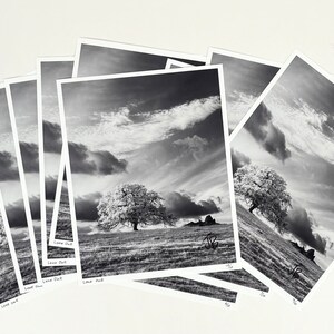 Lone Oak 8x10 Nature Landscape Photo Print - Etsy