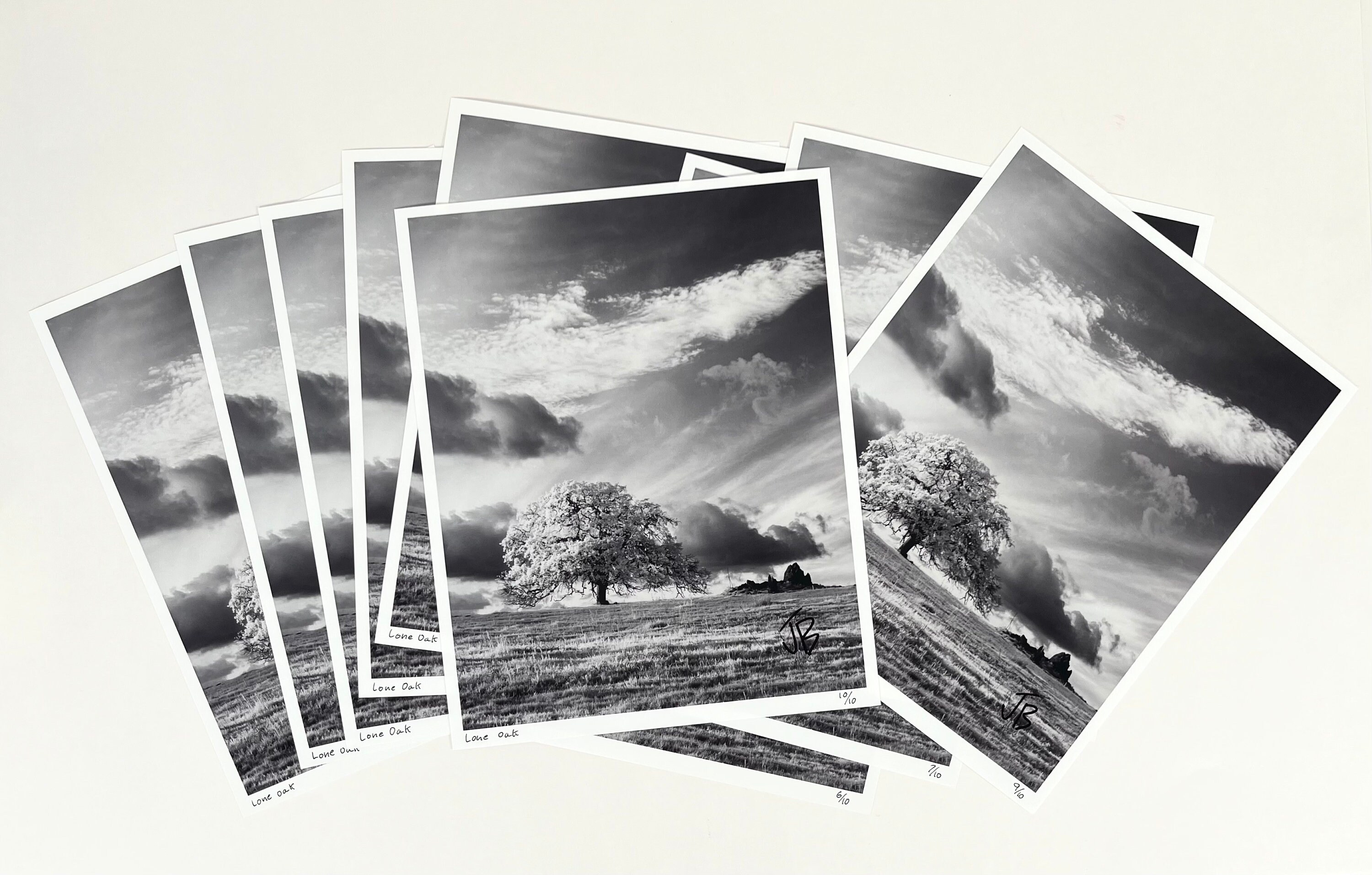 Lone Oak 8x10 Nature Landscape Photo Print - Etsy