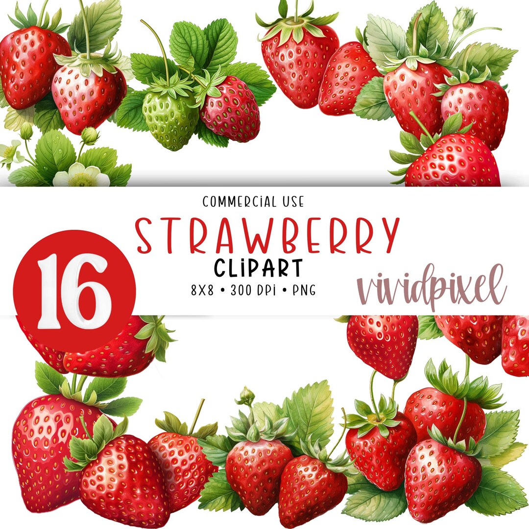 Strawberry Watercolor Clipart Set: Farmhouse Journal Pngs (digital ...