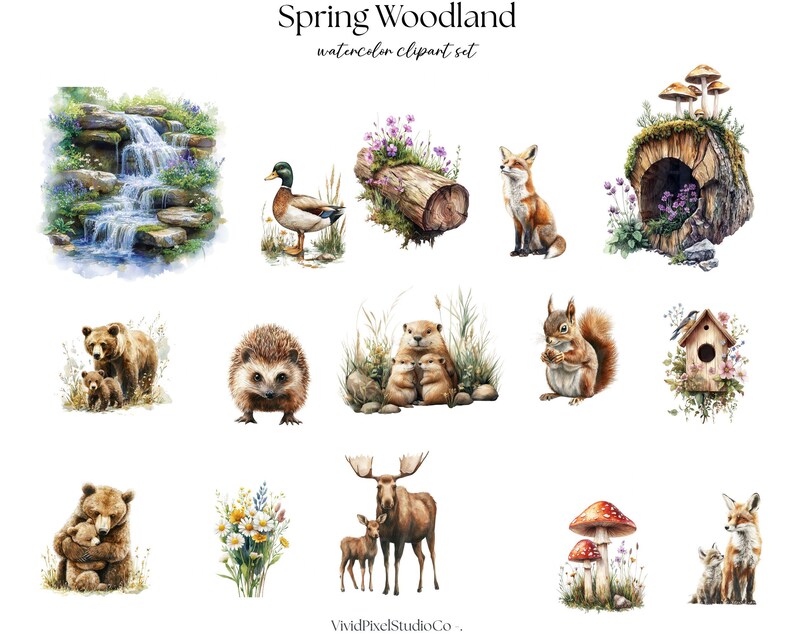 Spring Woodland Animals Clipart | Mom and Baby Forest Animals | Nursery ...