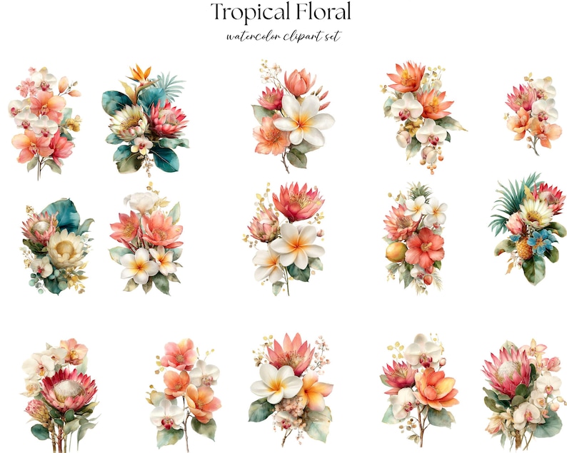 Tropical Watercolor Floral Clipart Bundle | Hibiscus Orchid Protea PNG ...