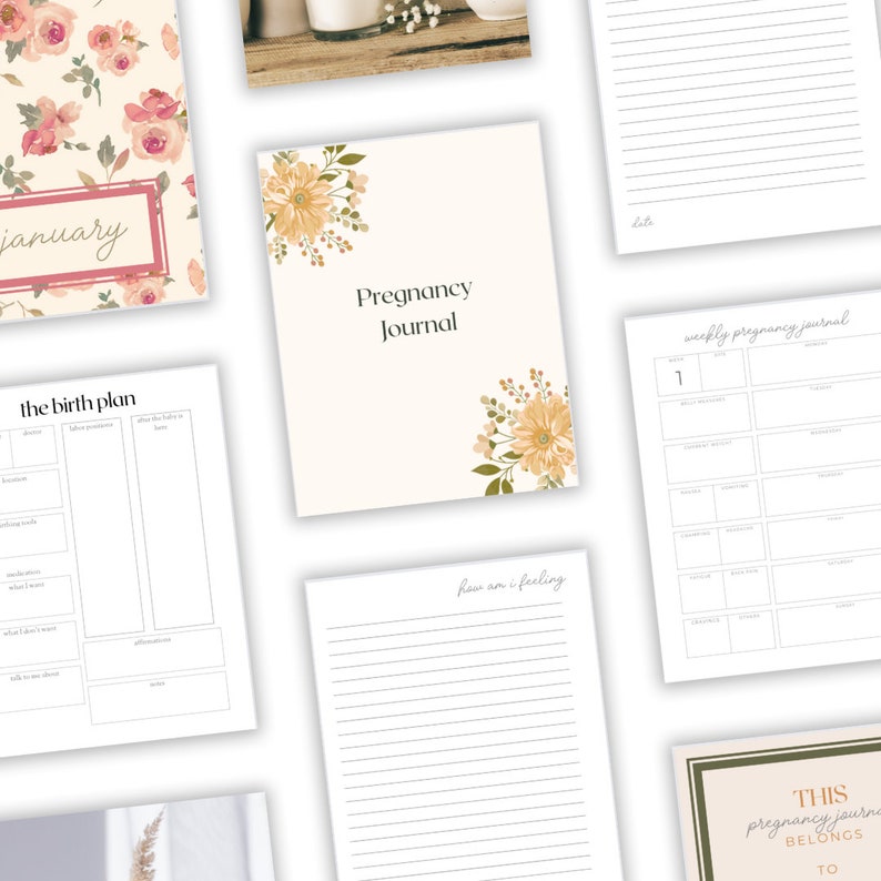 Ultimate Pregnancy Journal and Planner Birth Plan First Time Mom ...