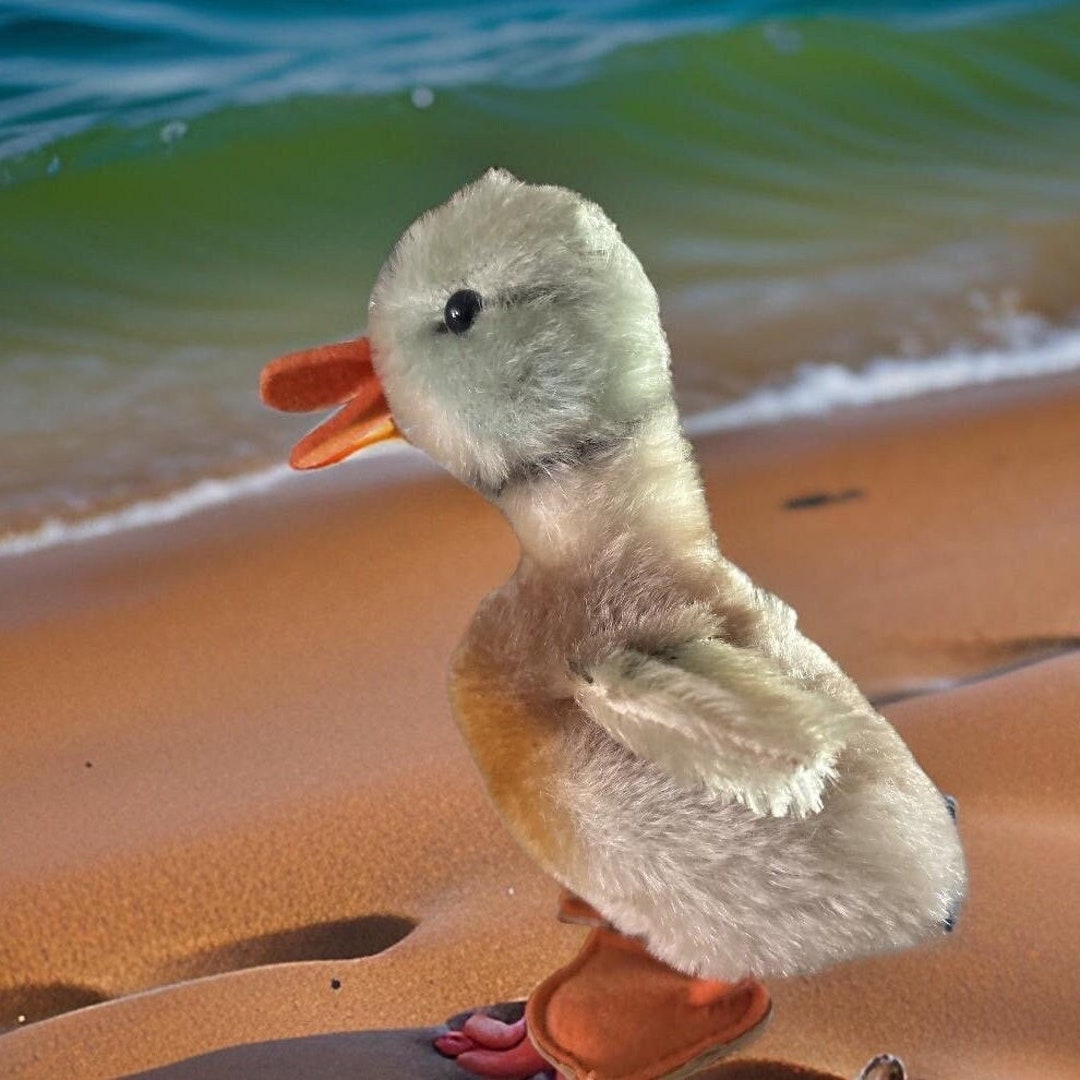 Little Steiff Duckling - Etsy