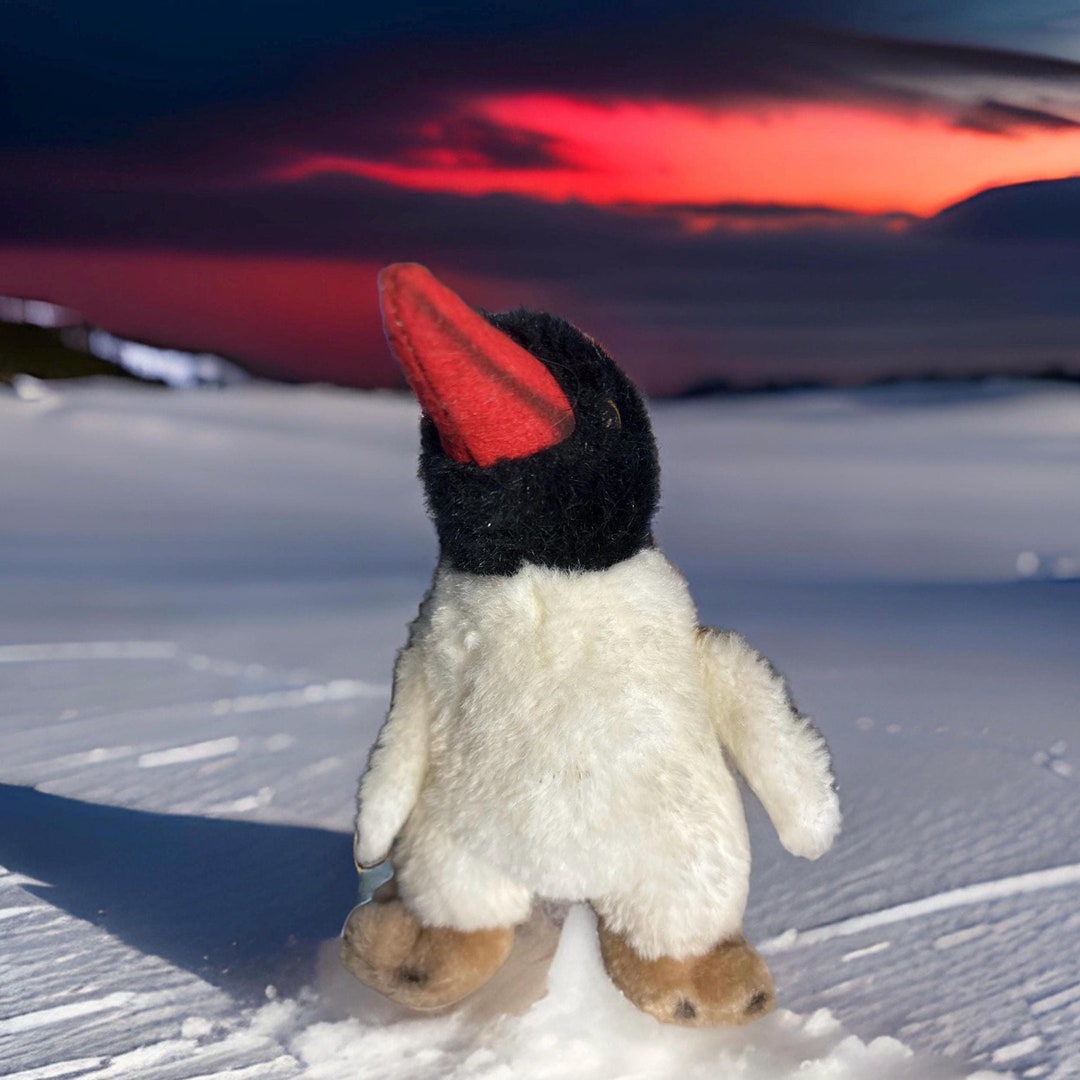Steiff Penguin - Etsy