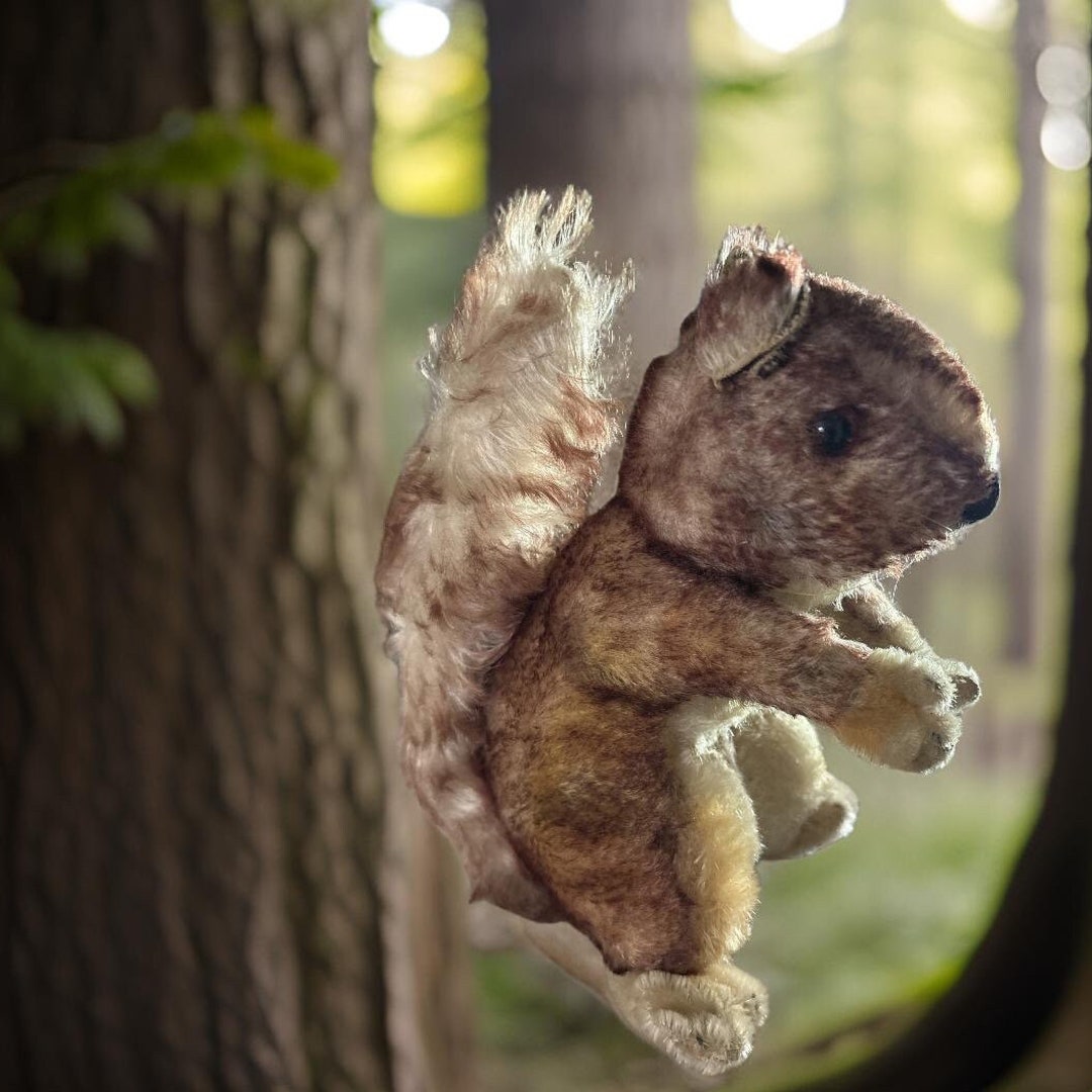 Little Steiff Perri Squirrel - Etsy