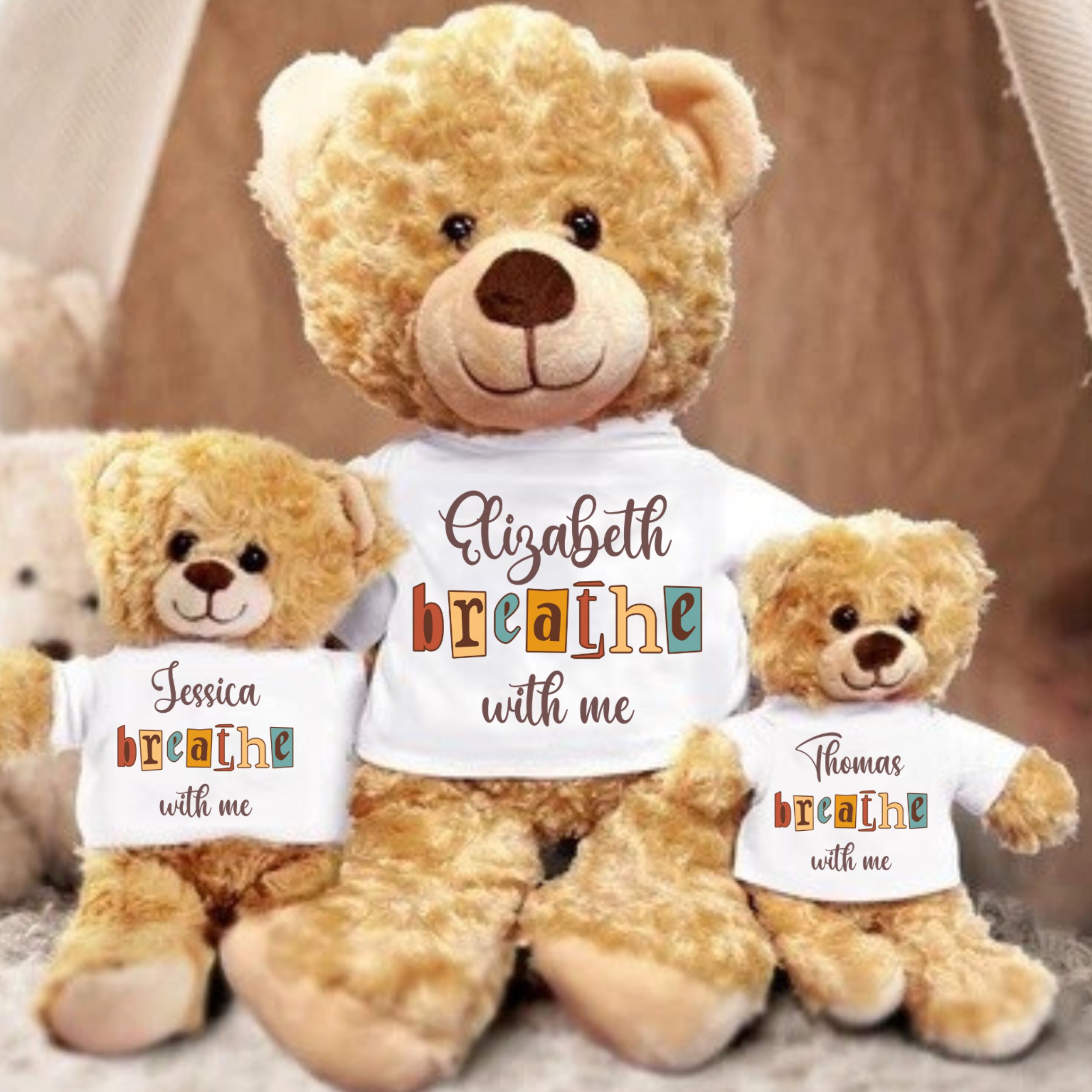 Teddy Bear Gift Comfort Bear Emotional Support Personalized Worry Bear ...